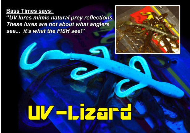 UV Lizard – Tightlines UV Lures